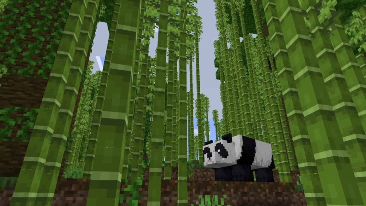 Minecraft Bamboo: Location, Growing, Uses and More! - GAG01