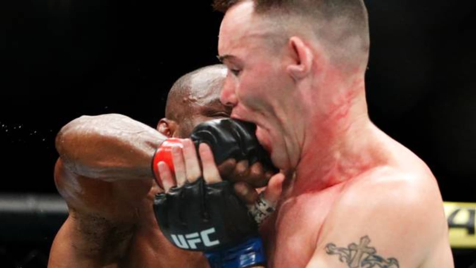 Colby Covington s'est-il vraiment cassé la mâchoire à l'UFC 245 ? - GAG01