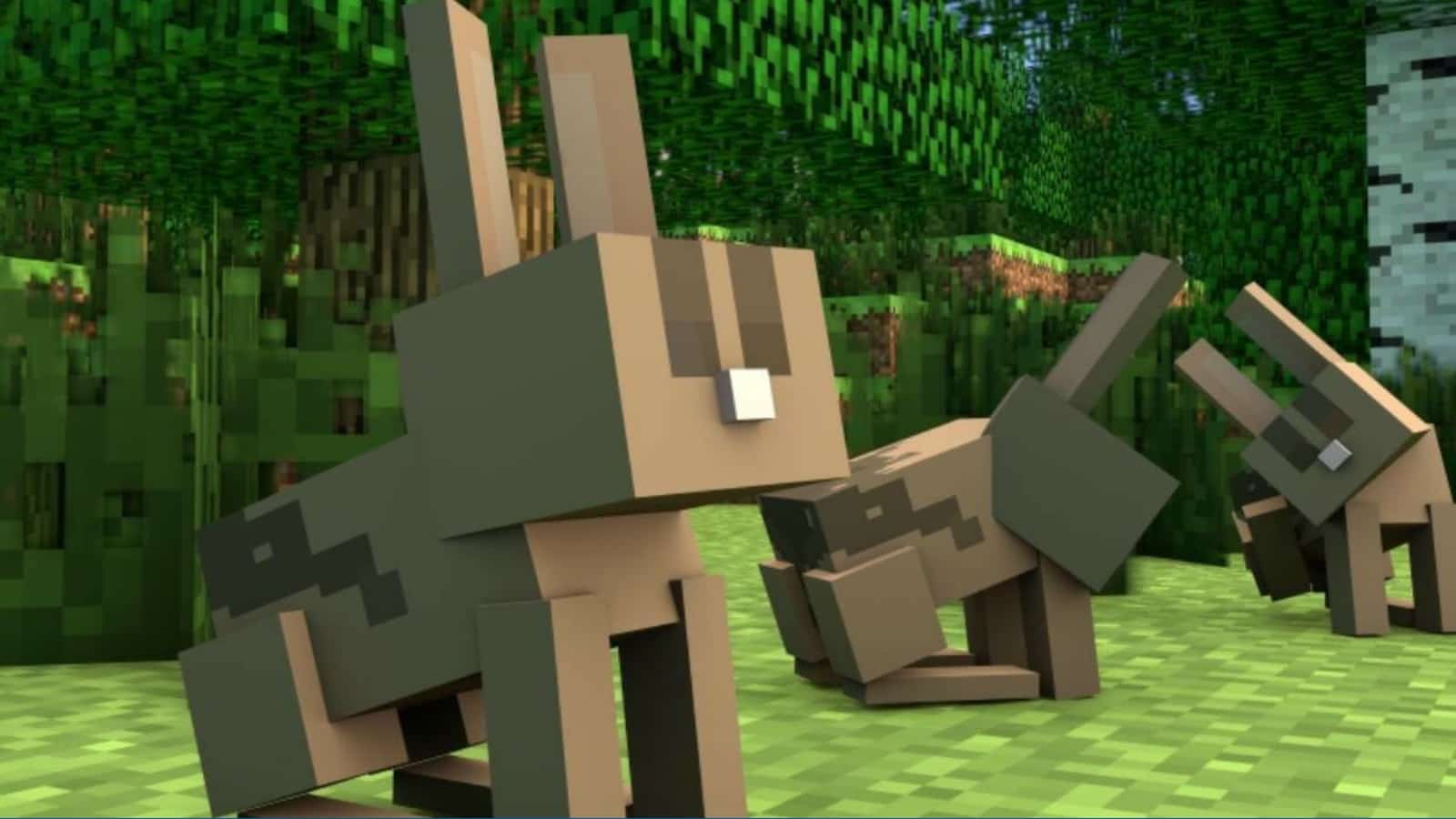 Minecraft Rabbit : emplacement, drops, utilisations et plus encore ...