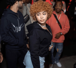 Ice Spice Biography, Age, Boyfriend, Siblings, Parents and Net Worth ...