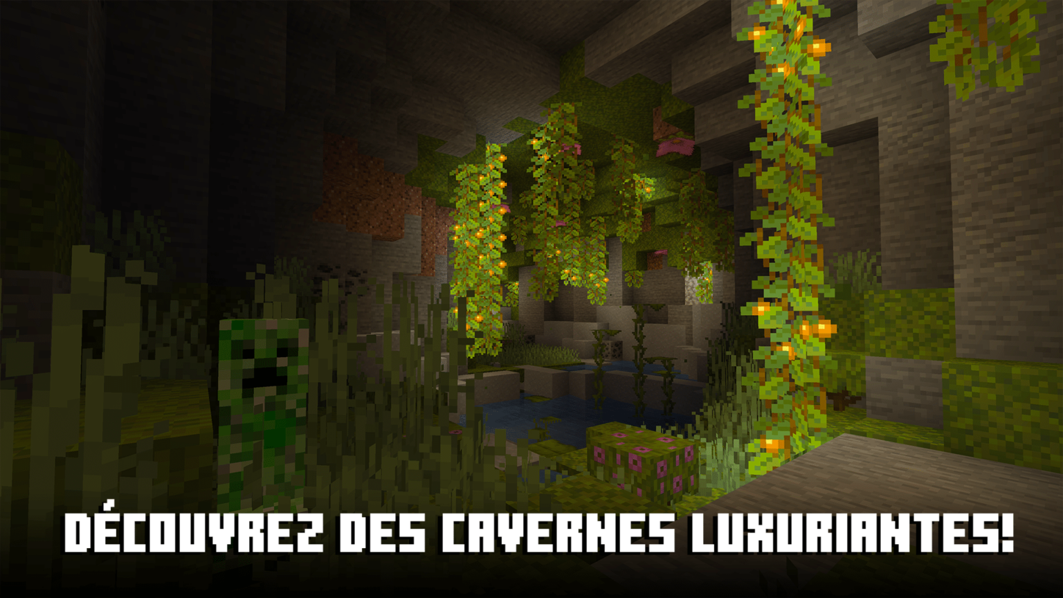 Pouvez-vous acheter Minecraft Java avec une carte-cadeau ? - GAG01