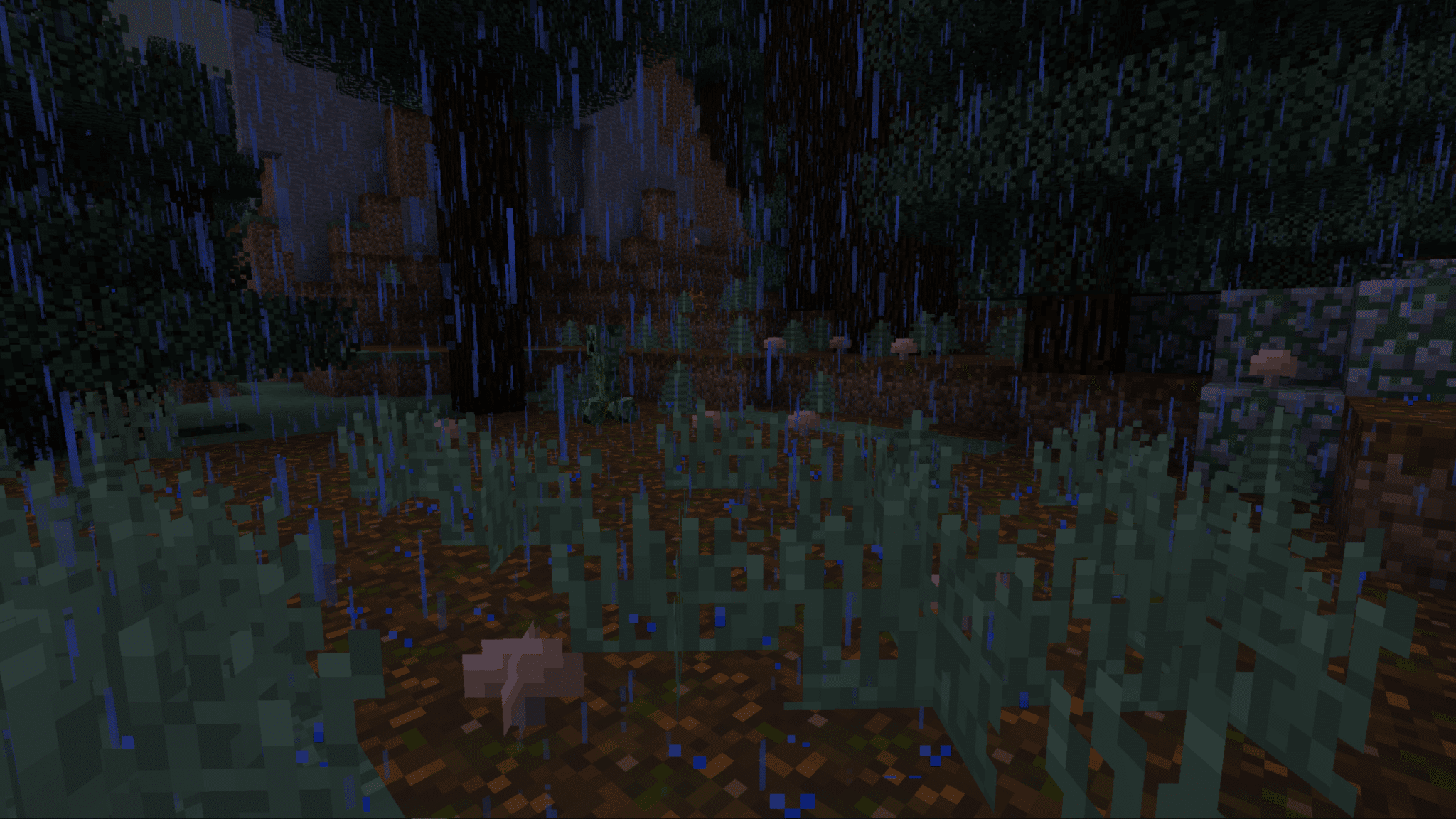 Quelle est la commande pour arrêter le cycle météorologique dans ...