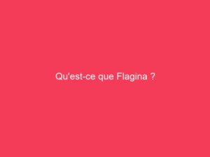 Qu'est-ce que Flagina ? - GAG01